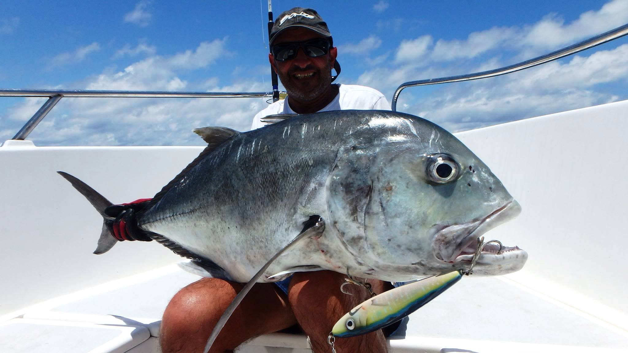 Stickbait Fast Sinking 200mm Artwork Yellowfin Tina | Allure Bespoke Lures